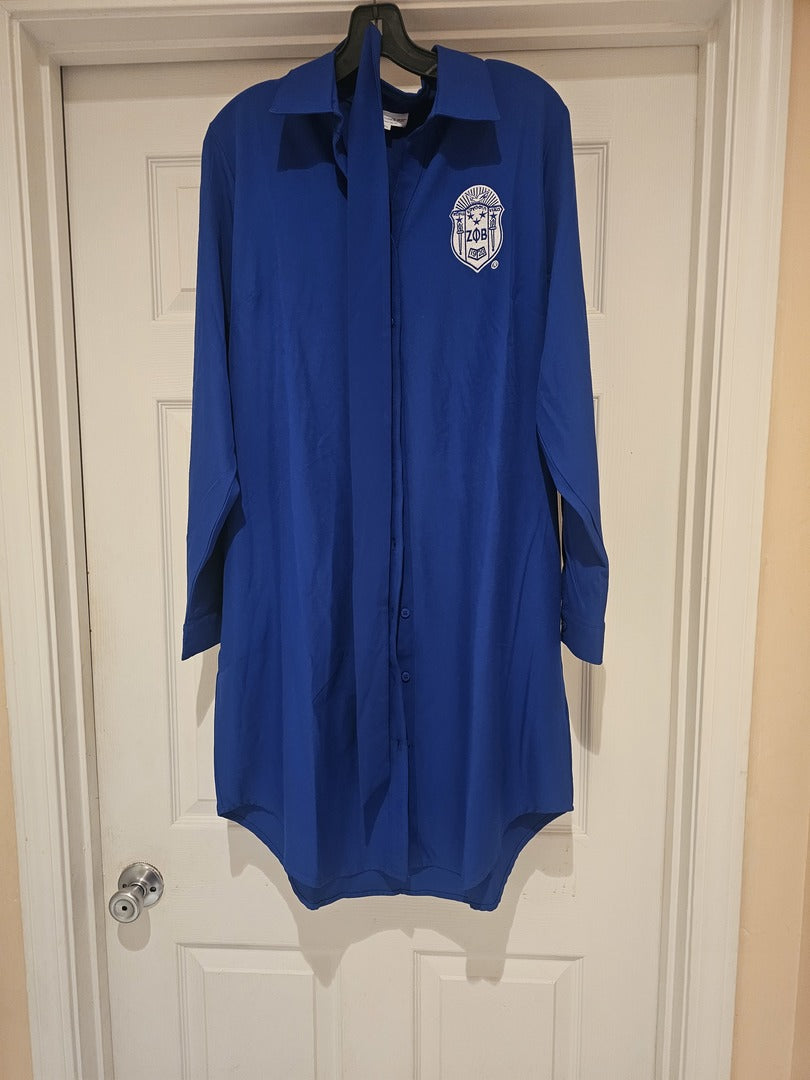 Zeta Shield Button-Down Shirt Dress – The Finer Things 1920